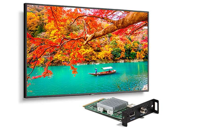 Find the NEC MA431-MPI4E 43'' UHD Professional Display for sale at Shop ...