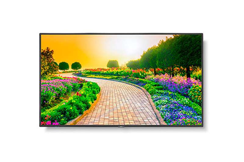 Find the NEC MA431 43'' Wide Color Gamut UHD Display for sale at Shop ...